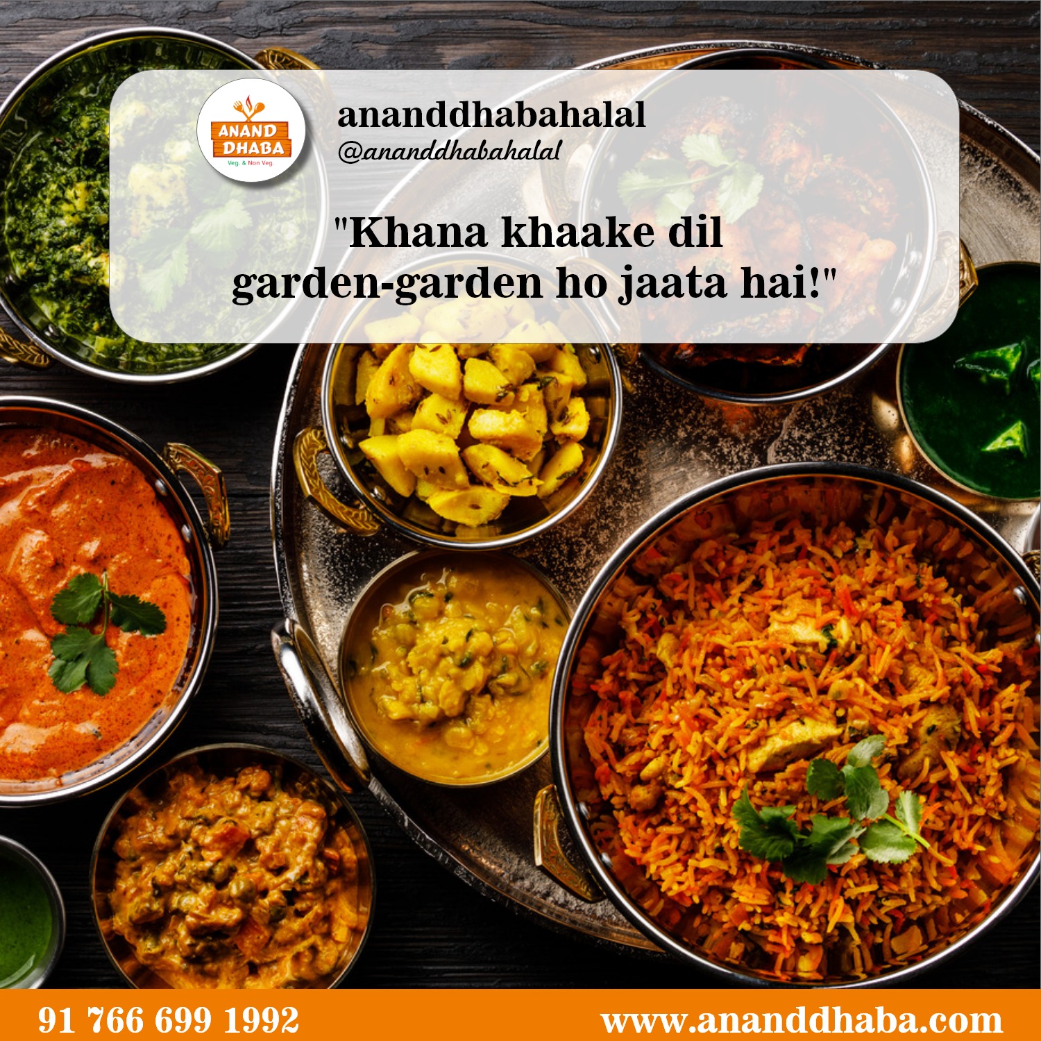 Indulging In A Delicious Feast At Anand Dhaba W Anand Dhaba In Indulging In A Delicious Feast At Anand Dhaba W Anand Dhaba In
